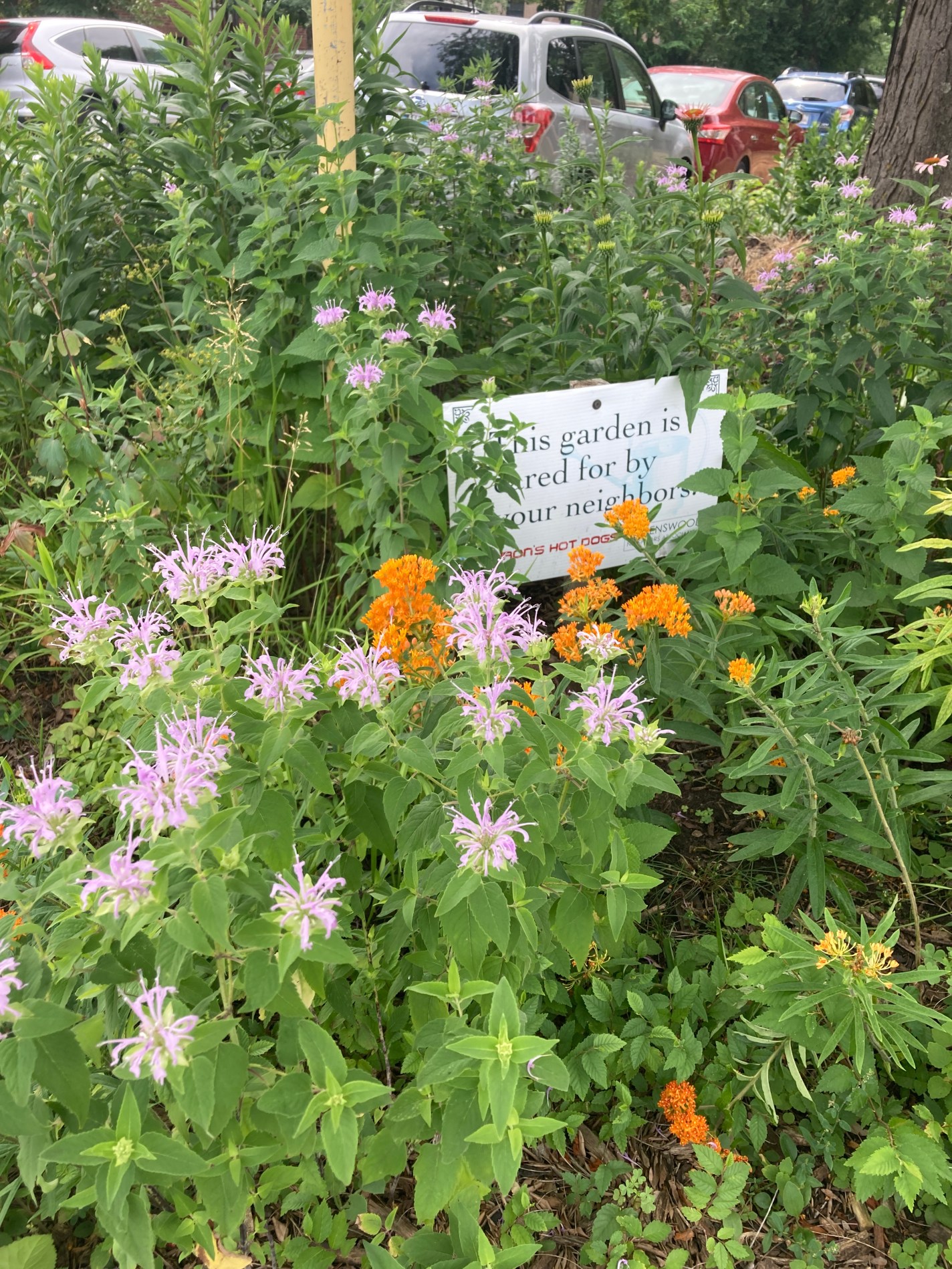 RAVENSWOOD NEIGHBORS ASSOCIATION